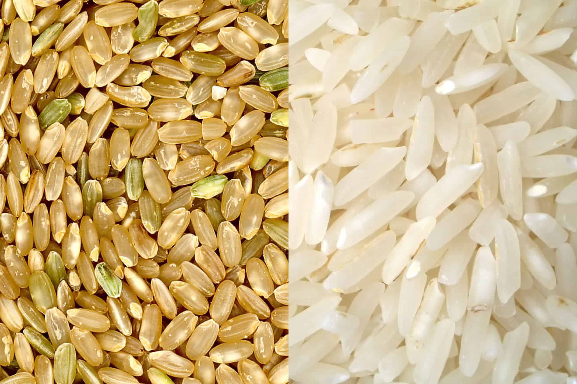 ¿Es mejor el cereal integral o el refinado? – Más Juntos